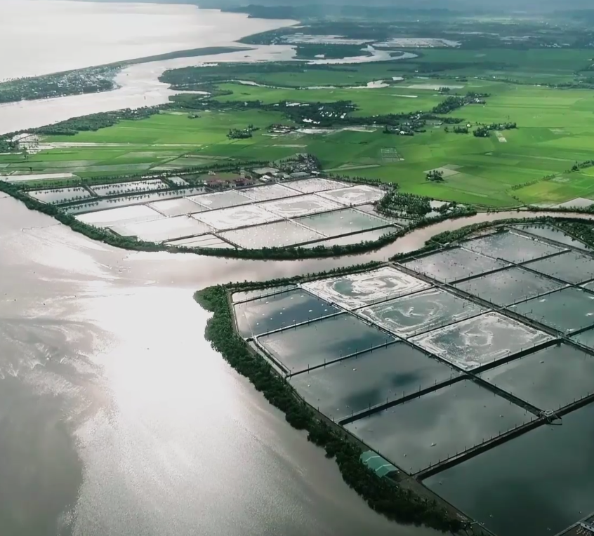 Seafood Media Group - Worldnews - DATAJ Aquafarm: Elevating Philippine aquaculture globally